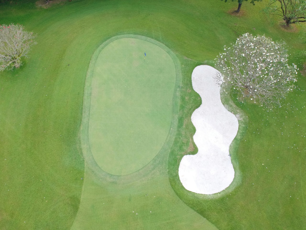 Hole 15 – Wack Wack